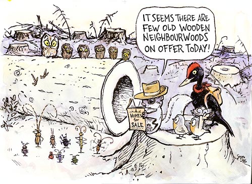 Cartoon guide to biodiversity loss | ConservationBytes.com