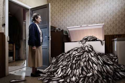 The spillover effect | ConservationBytes.com