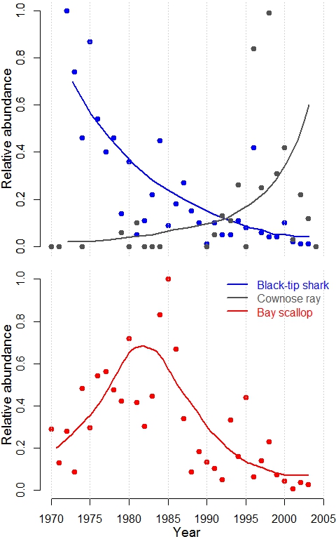 Sharks: the world’s custodians of fisheries | ConservationBytes.com