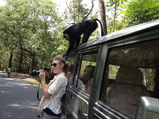 Giving a monkey’s about primate conservation | ConservationBytes.com