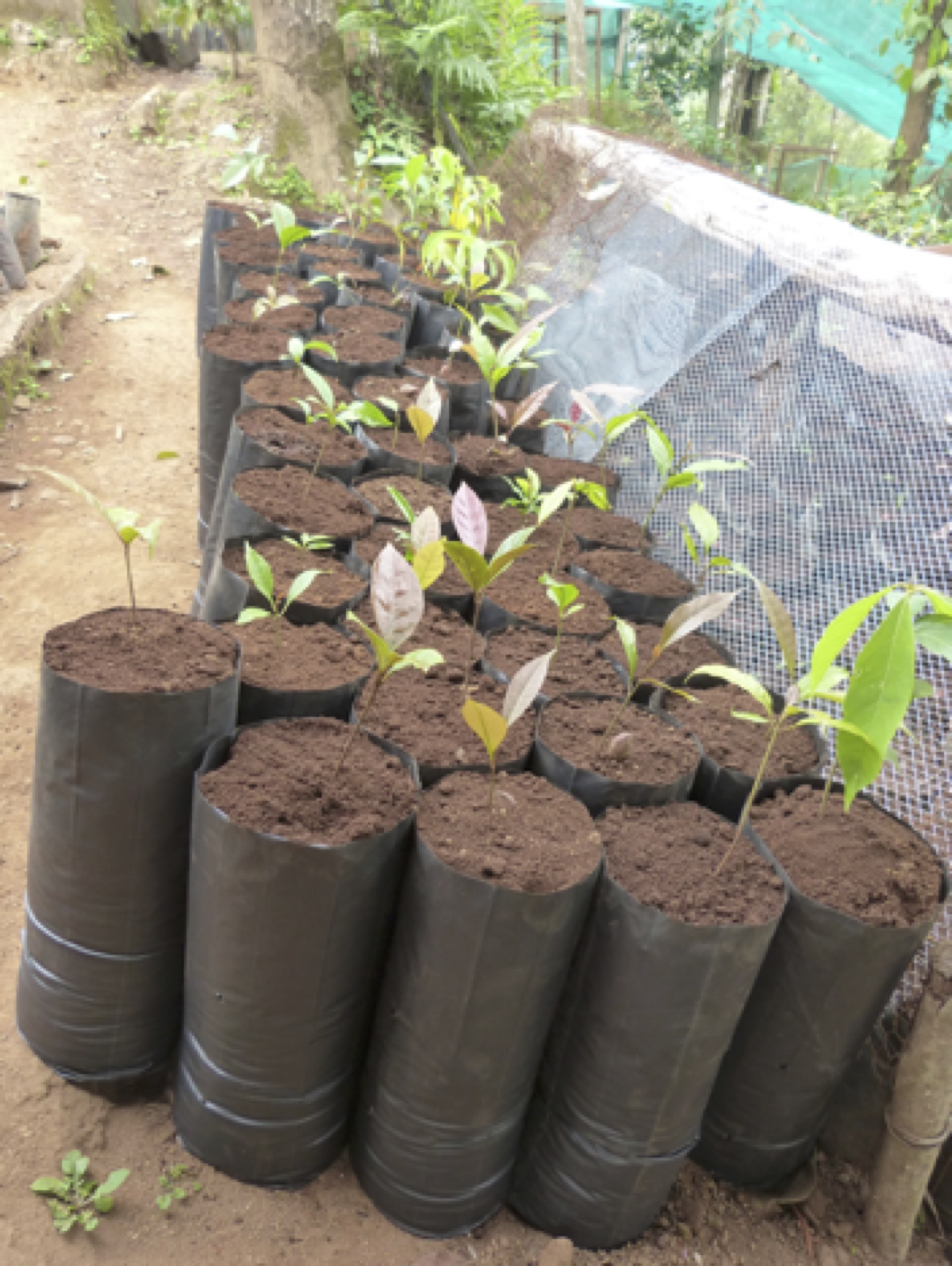 Bring it back | ConservationBytes.com