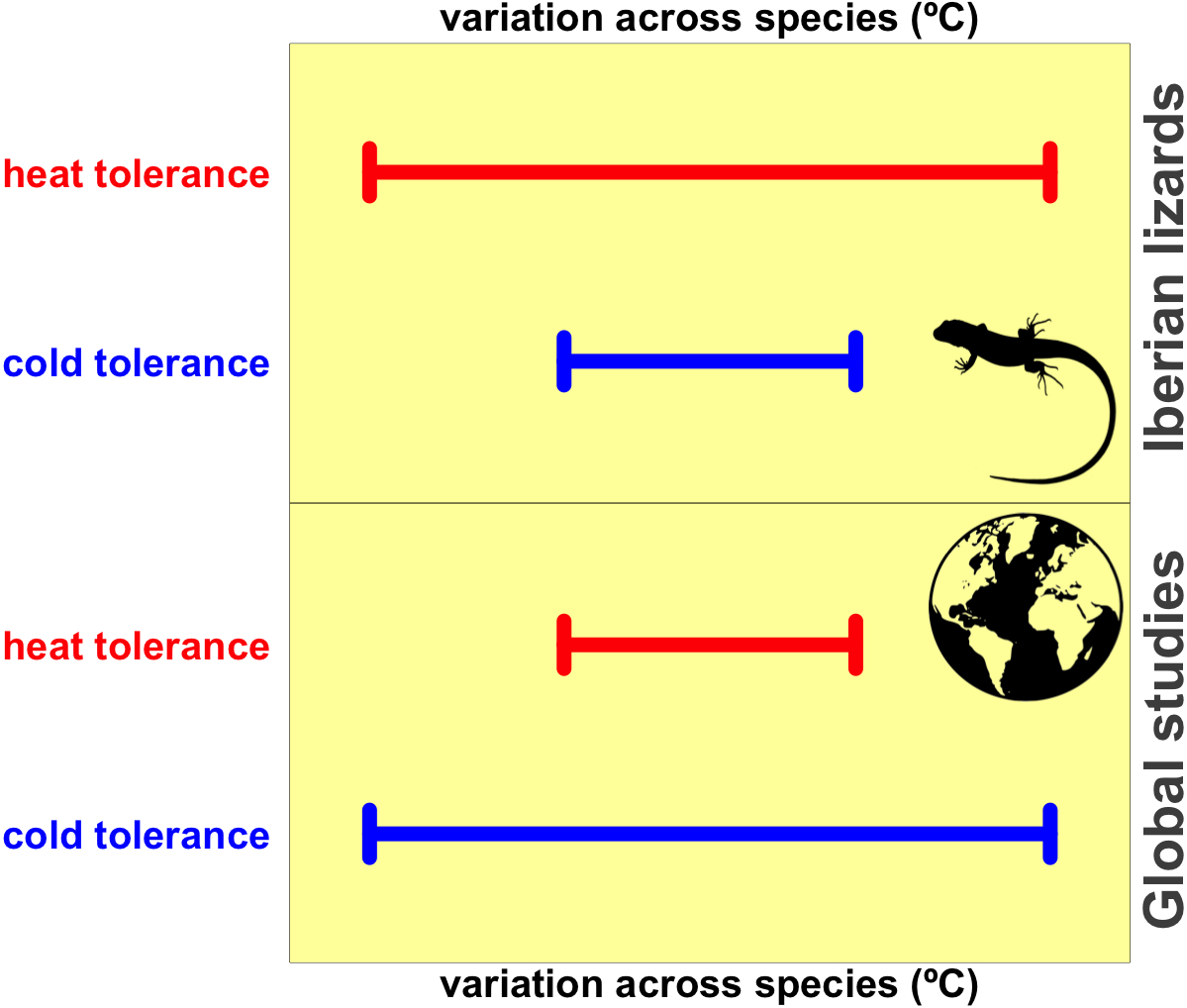 Heat tolerance highly variable among populations and species ...
