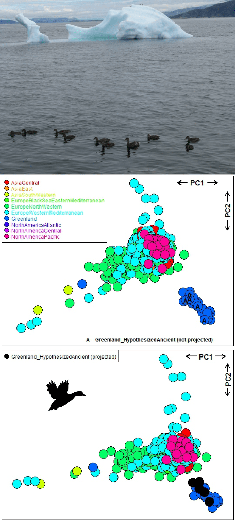 Smart genetic analysis made fast and easy | ConservationBytes.com