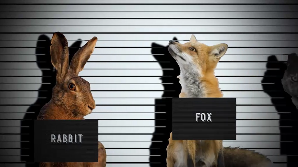 Video explainer — nasty alien species in Australia | ConservationBytes.com